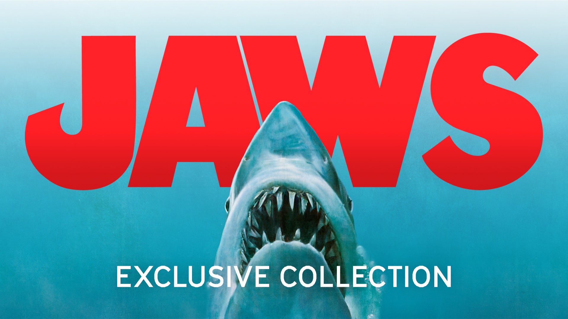 Official Oscars® Merchandise at the Academy Museum Store