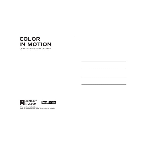 SOUL OF THE CYPRESS POSTCARD ACADEMY MUSEUM STORE LOS ANGELES – Academy ...